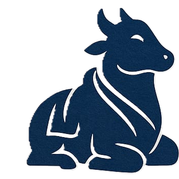 Nandi Softech Solutions | Software Development & Online Courses